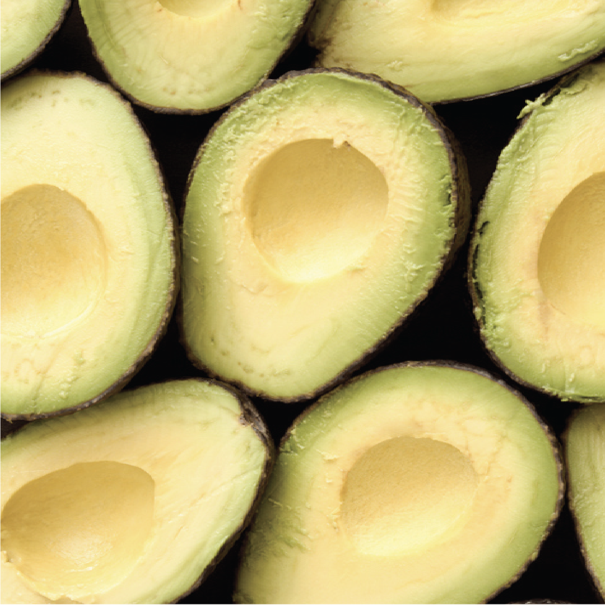 Active Ingredients – OPC Store